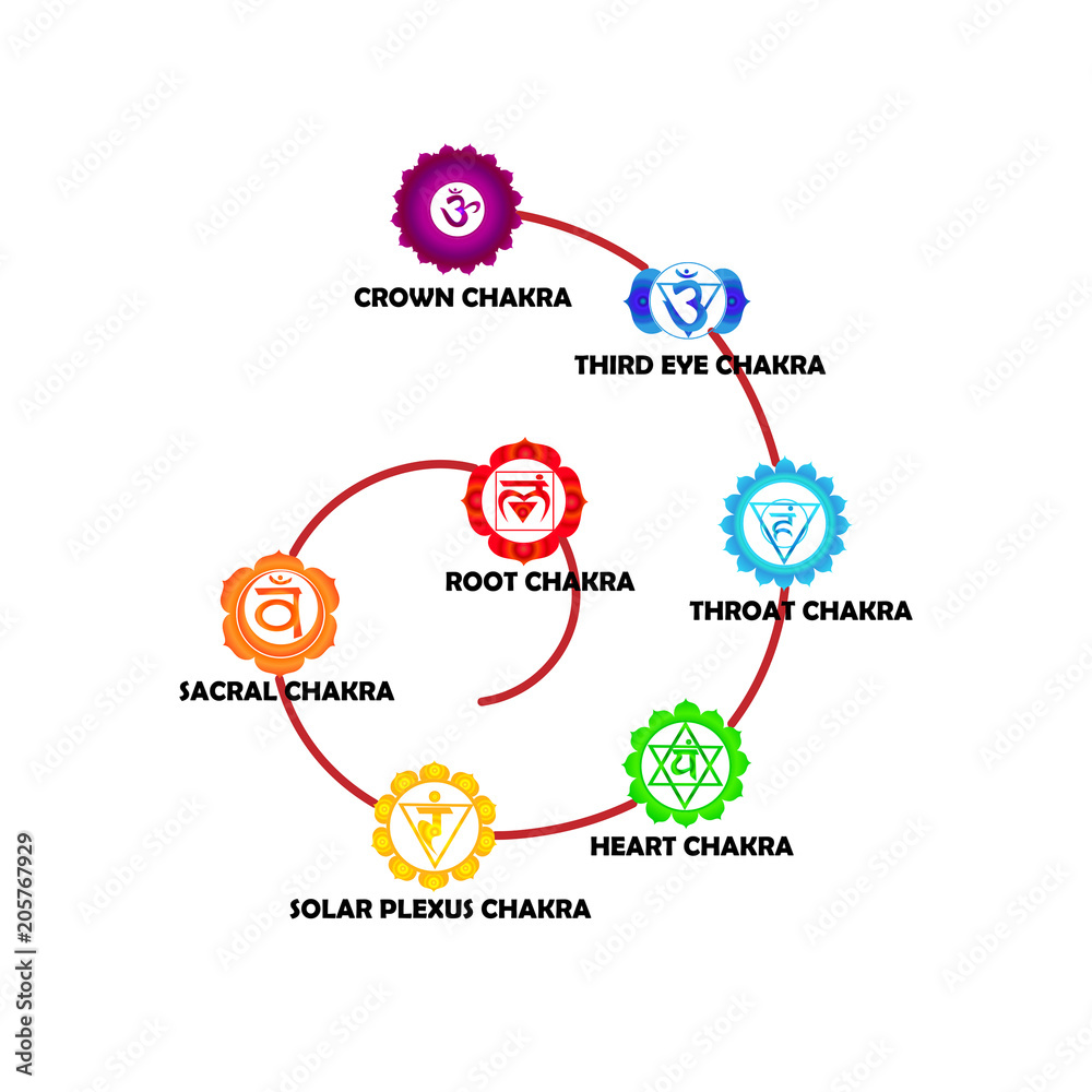 Seven chakras vector illustration Stock Vector | Adobe Stock Seven chakras vector illustration Stock Vector | Adobe Stock