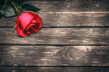 Single Red Rose On Wood Background Free Stock Photo - Public Domain ...