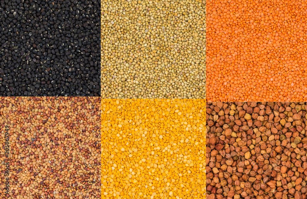 Collection of Seeds in Black Gram or Black Mung, Dried Coriander, Red ...