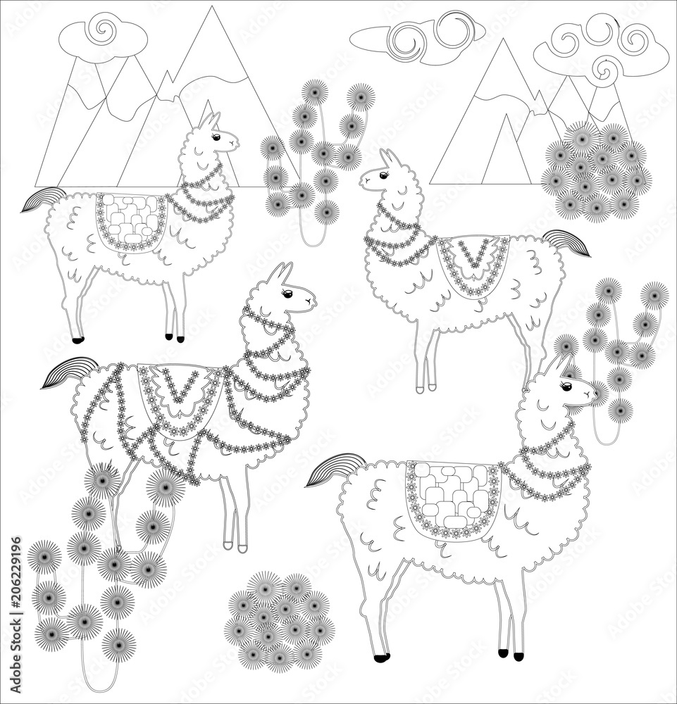 Coloring page of cartoon lama. Vector illustration, coloring book for ...