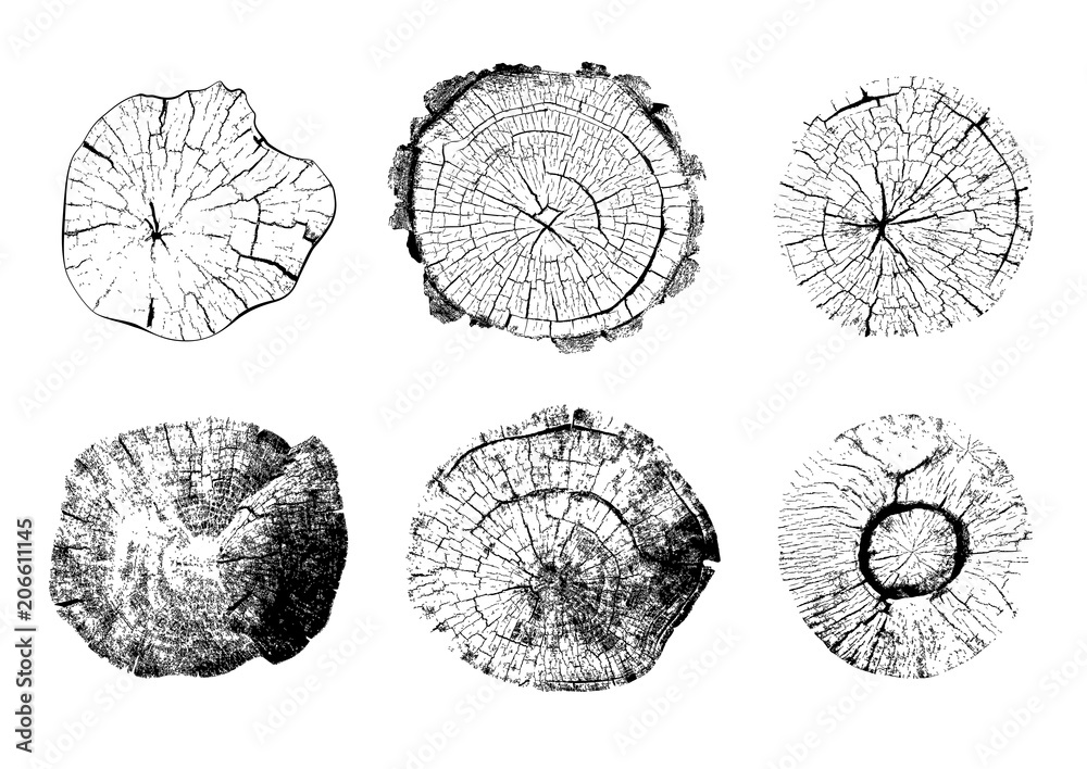 Top view of tree stumps isolated on white background. Set of natural ...