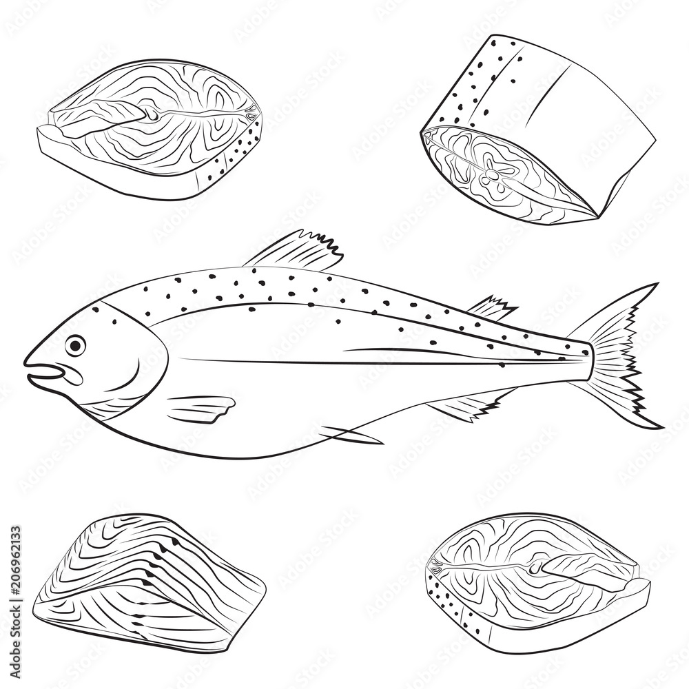 Salmon fish, steak, fillet and slice vector set. Sketch hand draw ...