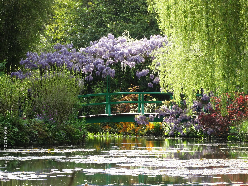 Monet Garden Light Sun Reflexion Tree Bridge Japanese Lake Flower ...
