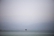 Gray Haze Background Free Stock Photo - Public Domain Pictures