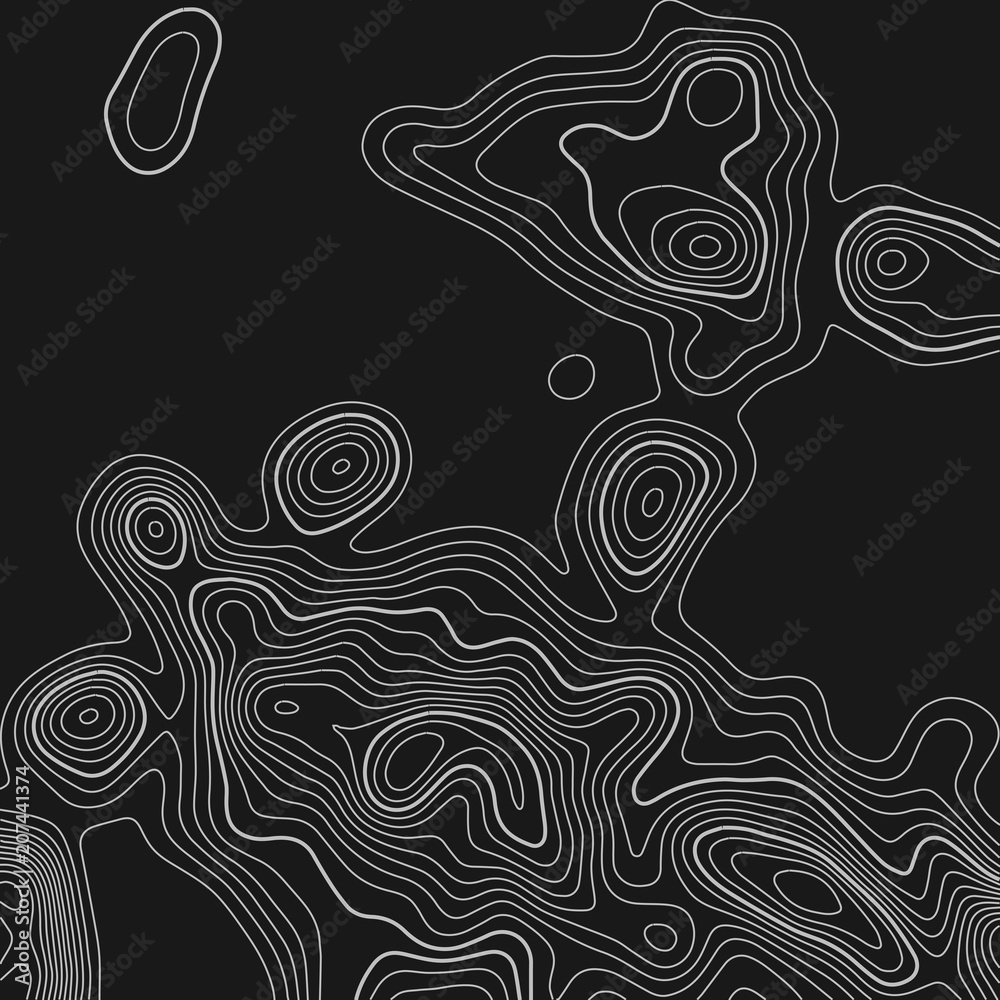 Topographic map. Topographical background. Linear graphics. Vector ...