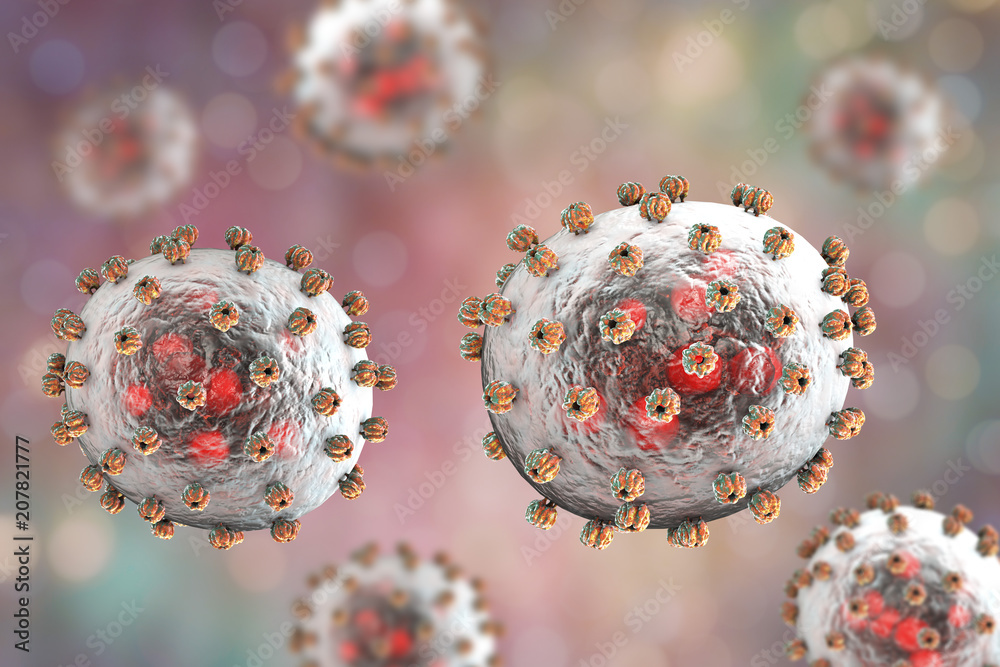 Lassa fever viruses, 3D illustration. RNA-viruses from Arenaviridae ...