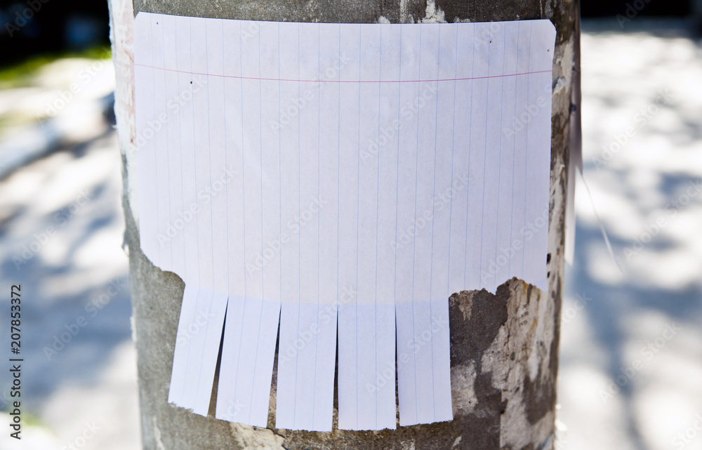 Blank white paper with tear off tabs. Stock Photo | Adobe Stock