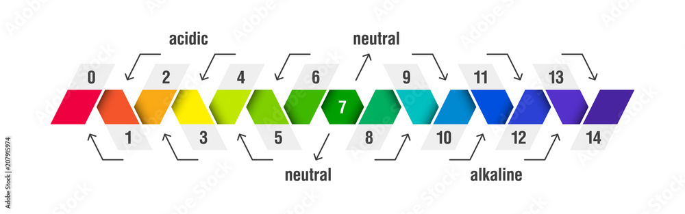 pH value scale chart for acid and alkaline solutions, acid-base balance infographic Stock Vector ...