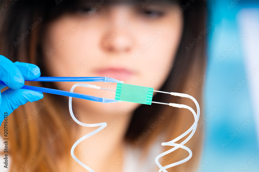 technician girl with microfluidic device LOC in microbiological lab ...