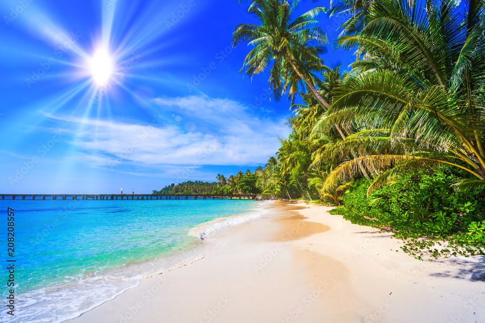 tropical beach. sea and coconut palm. Landscape of paradise tropical ...
