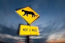 Mountain Lion Crossing Sign Free Stock Photo - Public Domain Pictures