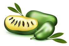 Ornamental Pawpaw Tree Free Stock Photo - Public Domain Pictures