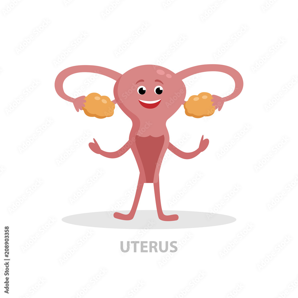 Happy uterus cartoon character vector flat illustration isolated on ...