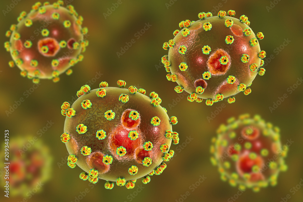 Lassa fever viruses, 3D illustration. RNA-viruses from Arenaviridae ...