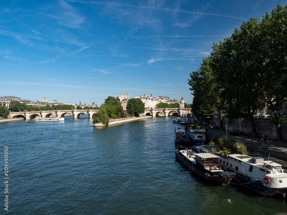 Ile de la Cite (Cite Island) and Pont Neuf (New Bridge). Pont Neuf is ...