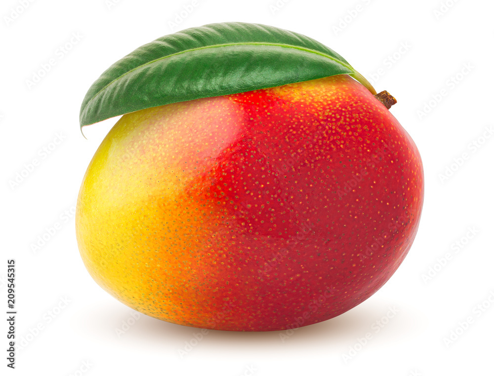 mango isolated on white background, clipping path, full depth of field ...