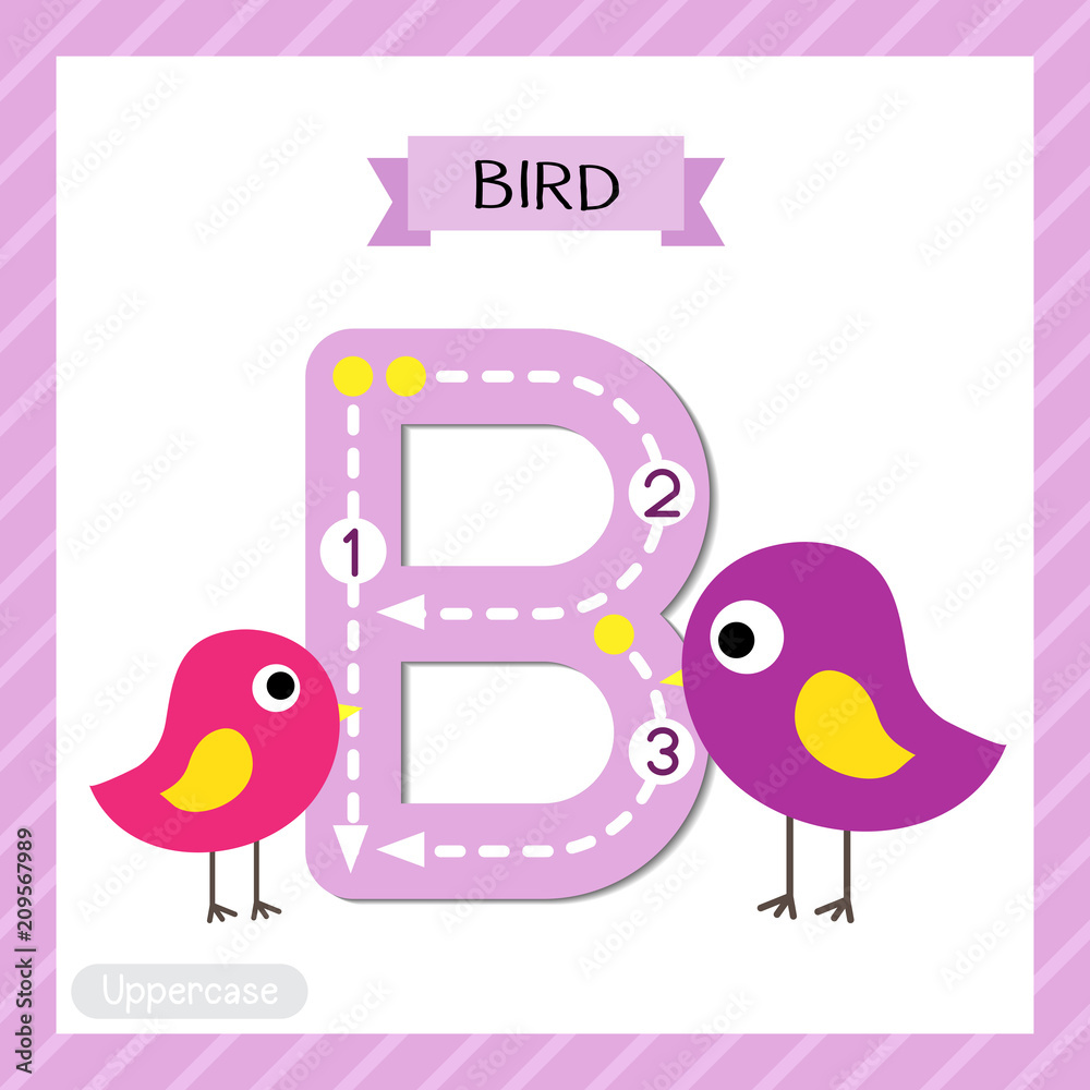 Letter B uppercase cute children colorful zoo and animals ABC alphabet ...