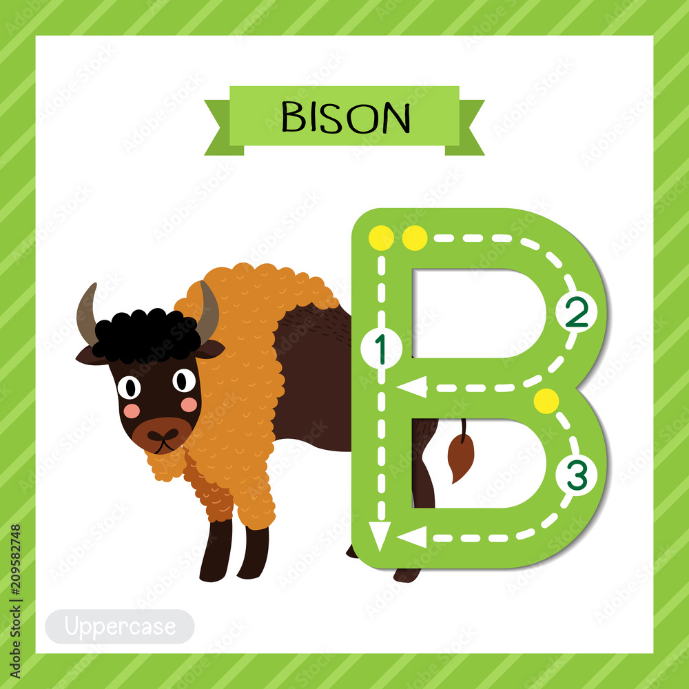 Letter B uppercase cute children colorful zoo and animals ABC alphabet ...
