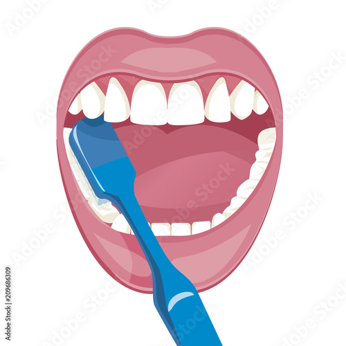 Vector image on a white background. how to brush your teeth rightly ...