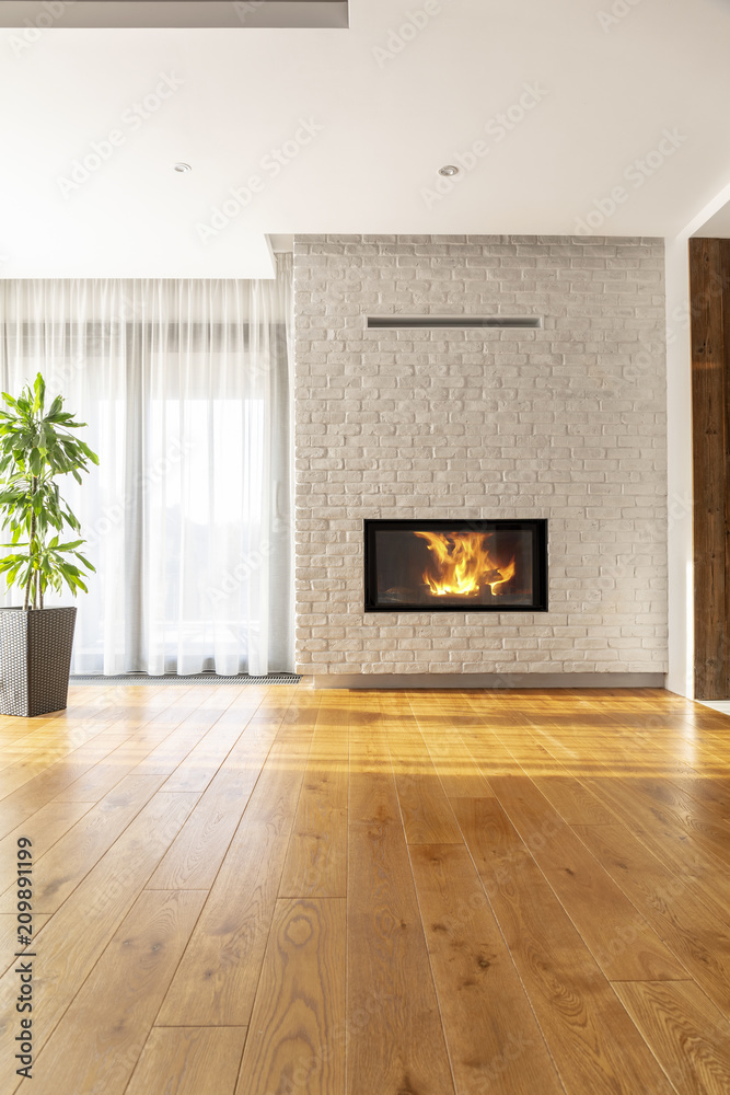 Real photo of a simple, natural living room interior with a tall plant ...