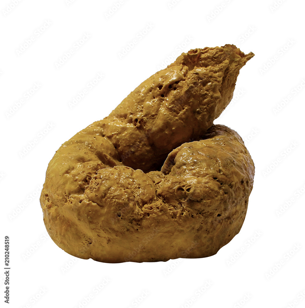 poop isolated on white background, poo isolated on white background ...
