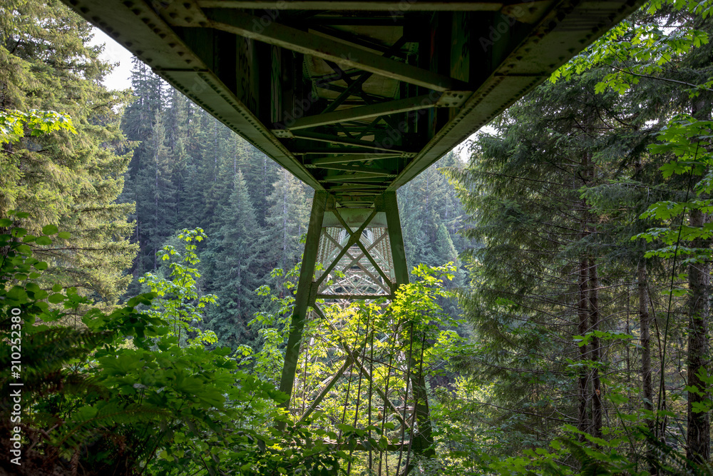 Underneath A High Steel Bridge In The Pacific Northwest Stock Photo ...
