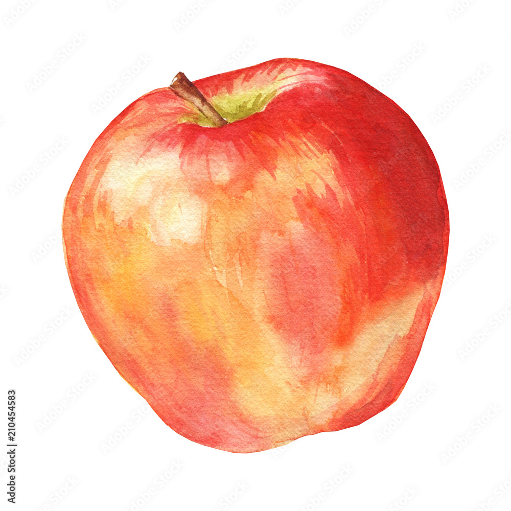 fruit background drawing