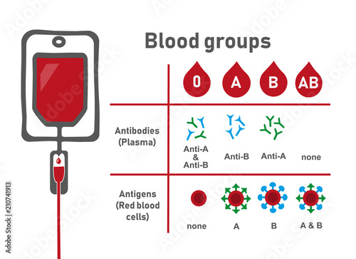 Schema der Blutgruppen nach dem AB0-System Stock Vector | Adobe Stock