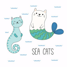 Cat Mermaid Free Stock Photo - Public Domain Pictures