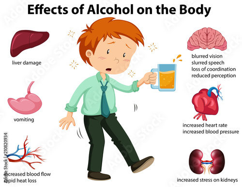 Effects of Alcohol on the Body - 이 스톡 벡터 구입 및 Adobe Stock에서 유사한 벡터 검색 ...