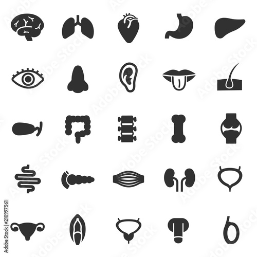 human anatomy, monochrome icons set. internal organs, body parts ...