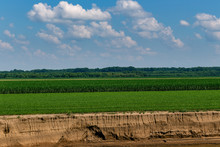 Indiana Cornfield Free Stock Photo - Public Domain Pictures