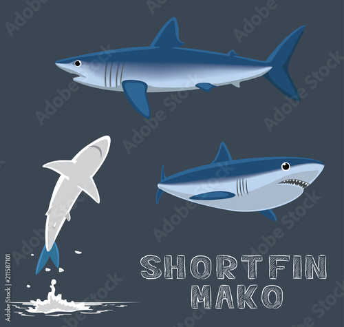 Shortfin Mako Cartoon Vector Illustration Stock Vector | Adobe Stock