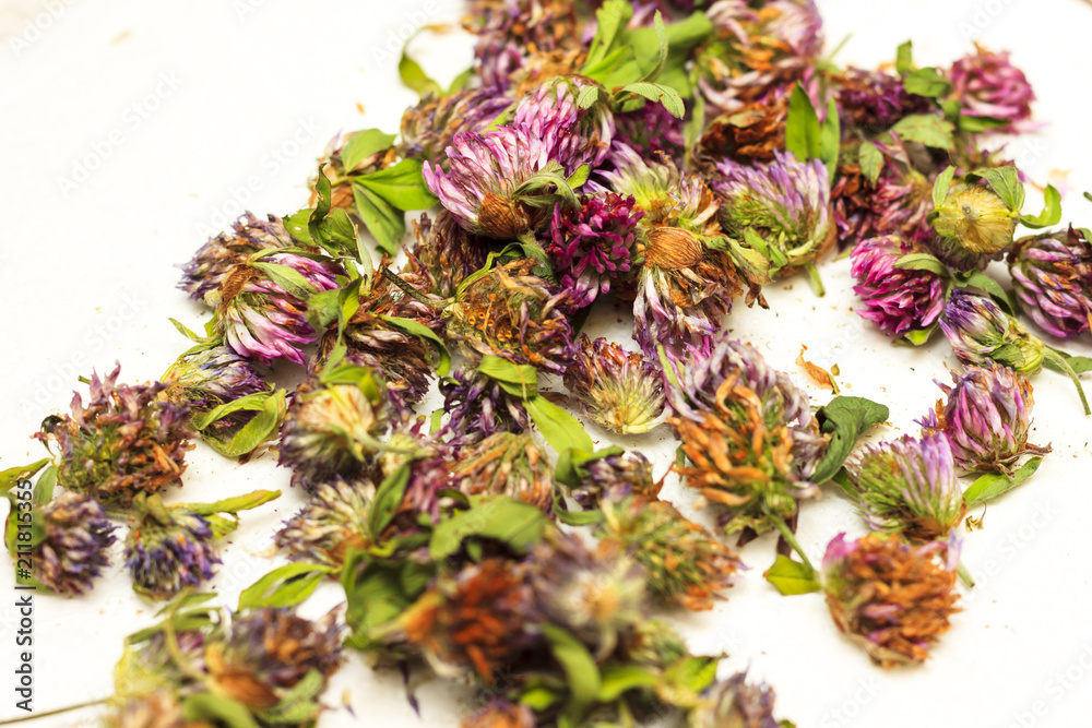Shallow depth of cut. Dry heads of red clover, lying in wicker vessels ...