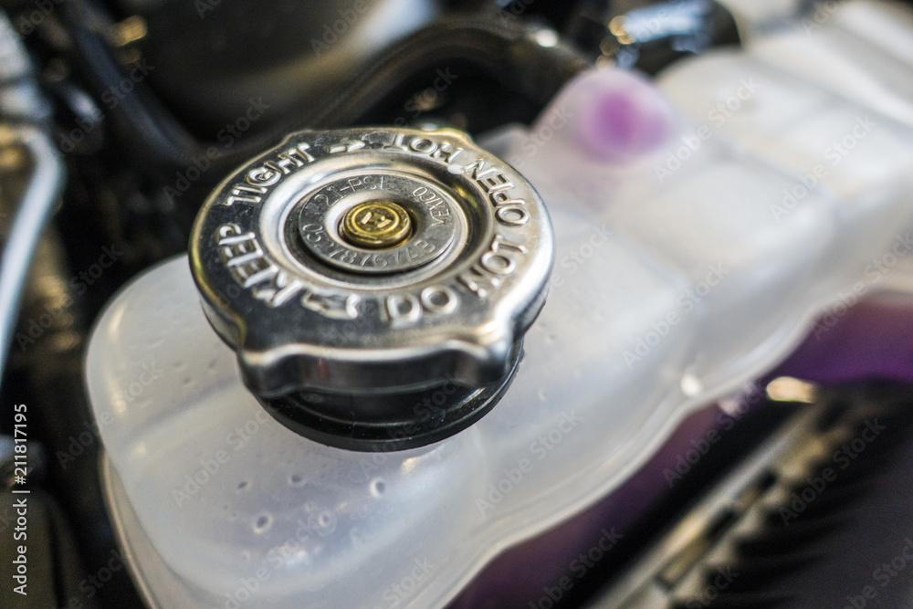 Coolant Overflow Degas Bottle Reservoir plastic container tank and ...