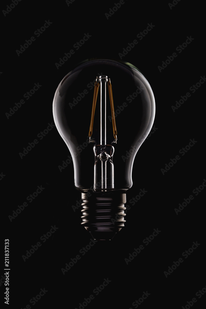 Unlit Light Bulb