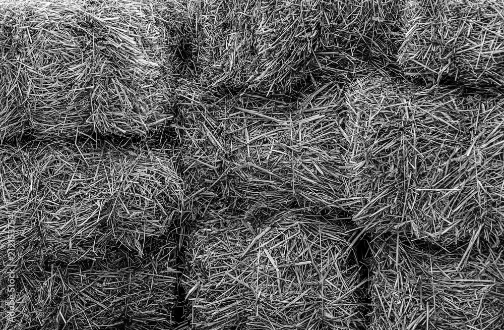 monochrome pattern rustic background gray blocks hay dry grass light ...