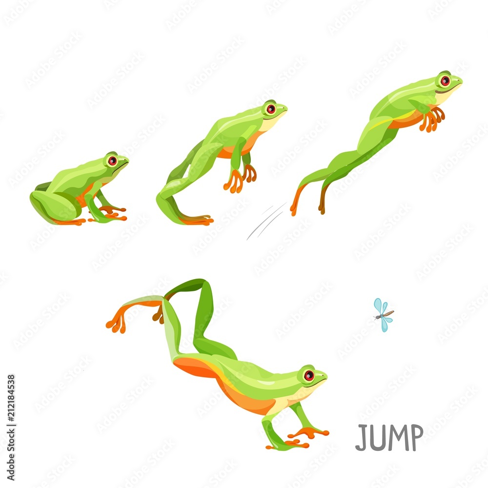 Frog jumping by sequence cartoon vector illustration Stock Vector ...