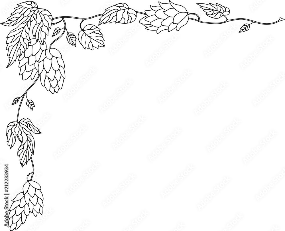 Hand Drawn Doodle Sketch Line Art Vector Illustration of Corner ...