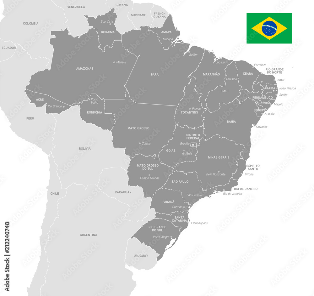 Grey Vector Political Map of Brazil Stock Vector | Adobe Stock