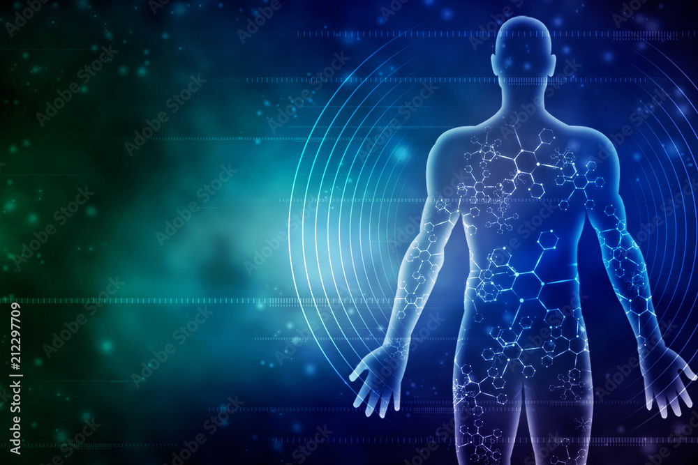 2d illustration Human Male Muscle Body Stock Illustration | Adobe Stock