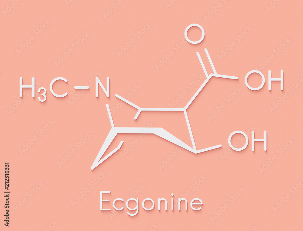 Ecgonine coca alkaloid molecule. Metabolite of cocaine. Skeletal ...