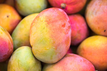 Mango Pile Up Free Stock Photo - Public Domain Pictures