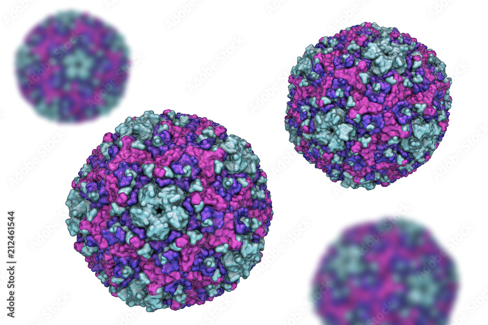 Coxsackievirus, 3D illustration. RNA virus from Picornaviridae family ...