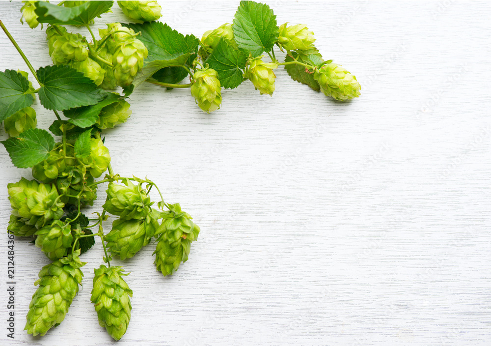Photo Stock hop. Fresh whole hops on white wooden table. Blossoming ...