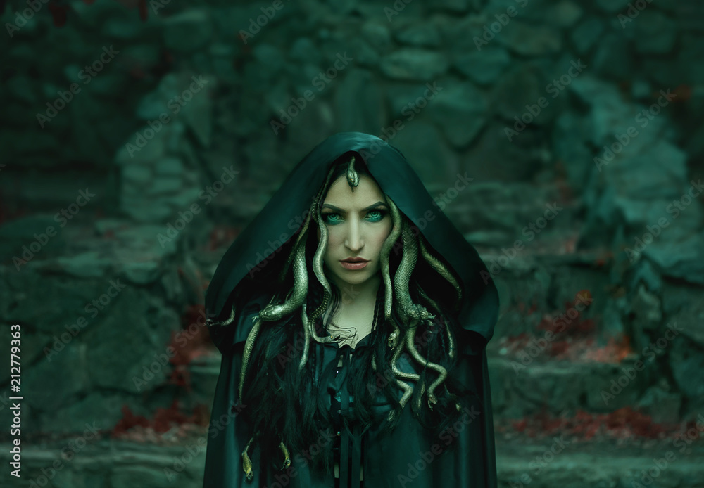 Image of Gorgon Medusa, braid hair and gold snakes, close-up portrait ...