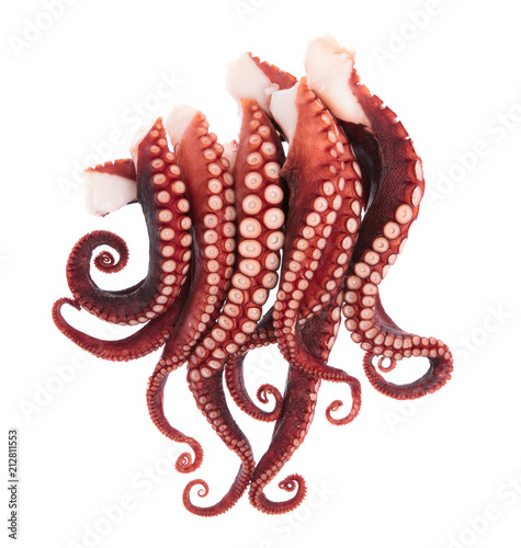 tentacles of octopus isolated on white background - Buy this stock ...