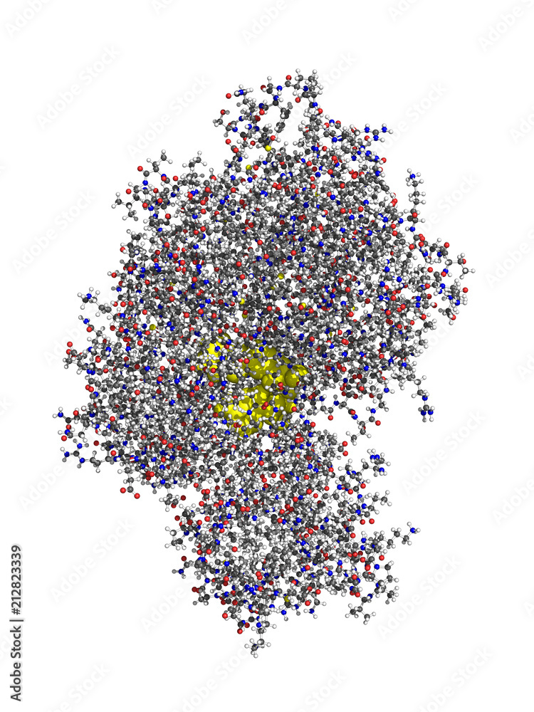 Stock-Illustration „Luciferase is an enzyme that produces ...