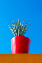 Red Pot Free Stock Photo - Public Domain Pictures