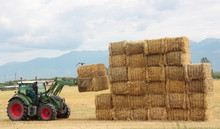 Pile Of Hay Farm Free Stock Photo - Public Domain Pictures